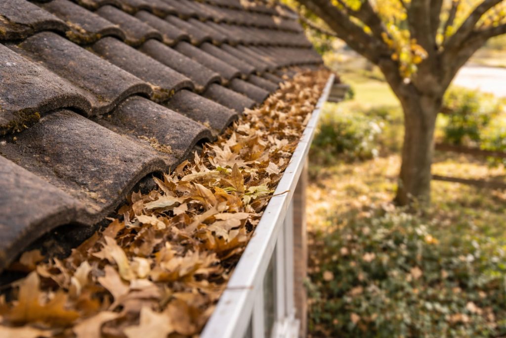 Gutter Guard Installation Cost (UK) | Compare Systems & Fitting Prices